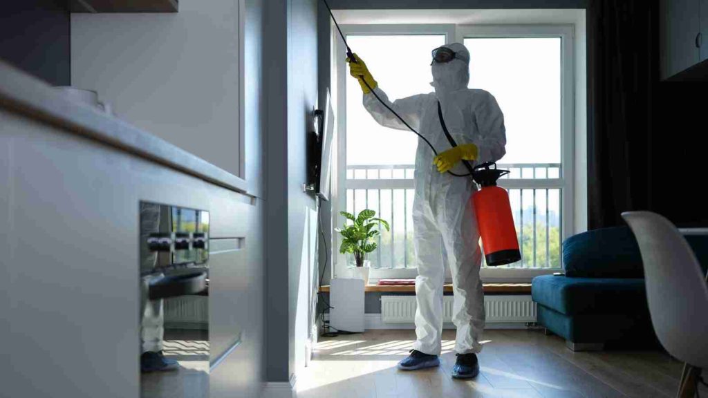 The 5 Best Pest Control Companies in Hamilton - 2025